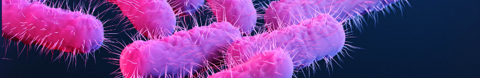 NIBSC - Shigella