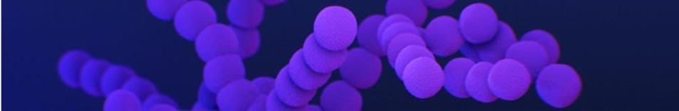 NIBSC - Group B Streptococcus