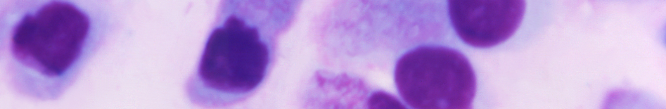 NIBSC - Sexually transmitted infections