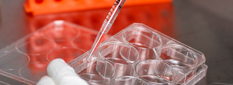 NIBSC - Apply for cell lines